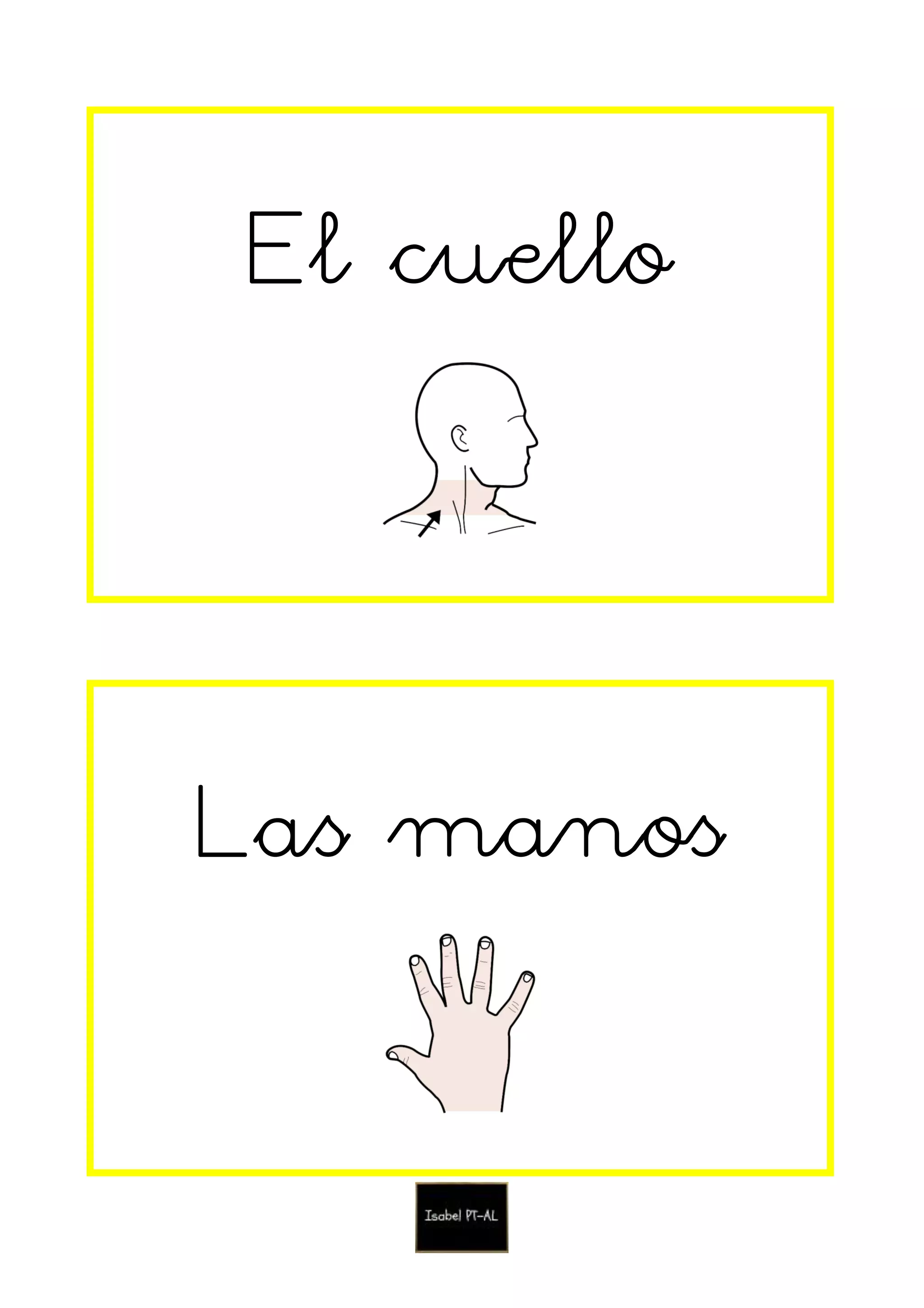 Vocabulario Partes Del Cuerpo Pdf