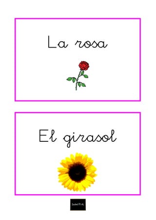 Vocabulario primavera | PDF