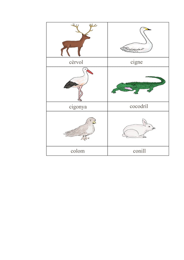 Vocabulari visual animals | PDF