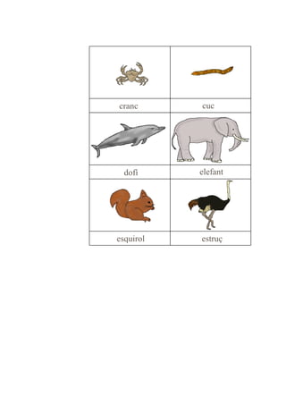 Vocabulari visual animals | PDF