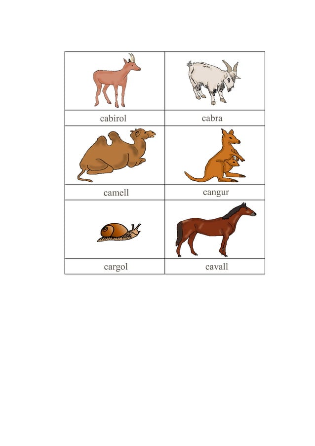 Vocabulari visual animals | PDF