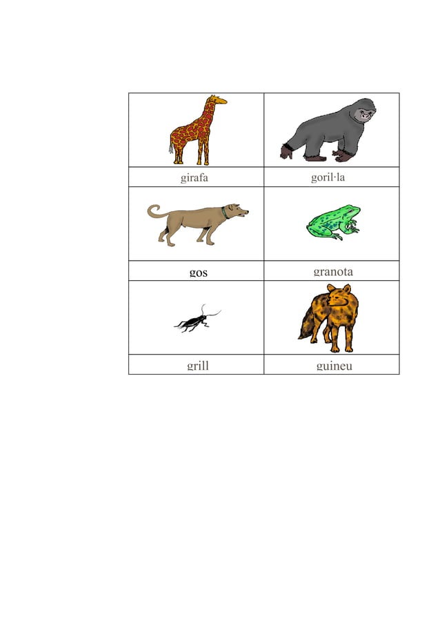 Vocabulari visual animals | PDF