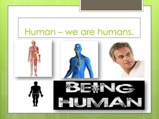 Vocabulary 01-06-13 | PPT