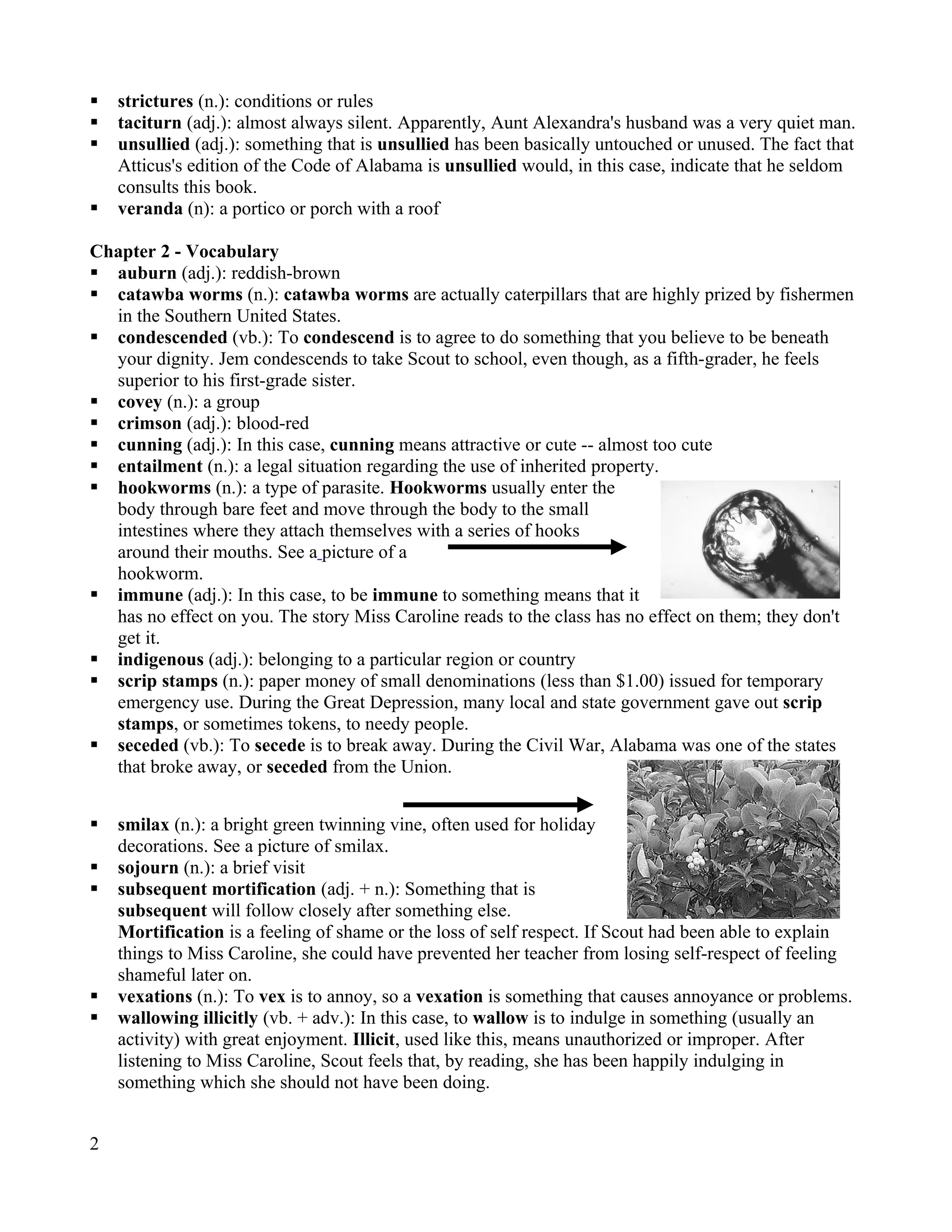 Mockingbird Vocabulary | PDF