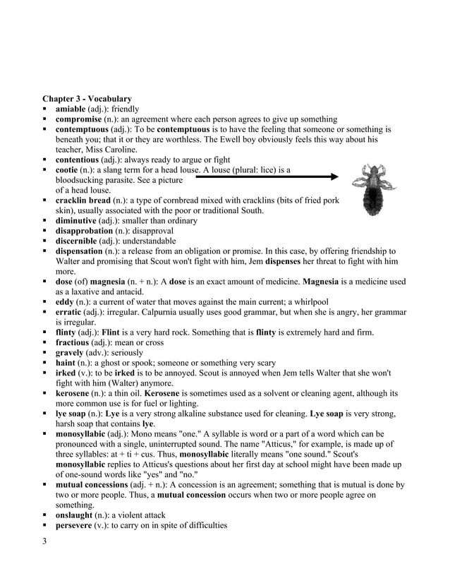 Mockingbird Vocabulary | PDF