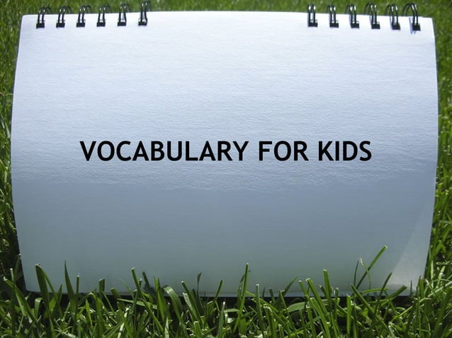 Vocabulary | PPT