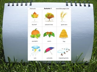Vocabulary | PPT