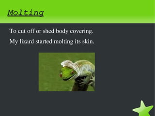 Vocabulary | ODP