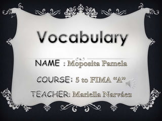 Vocabulary | PPTX