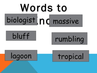 Vocabulary- Adelina's Whales | PPT