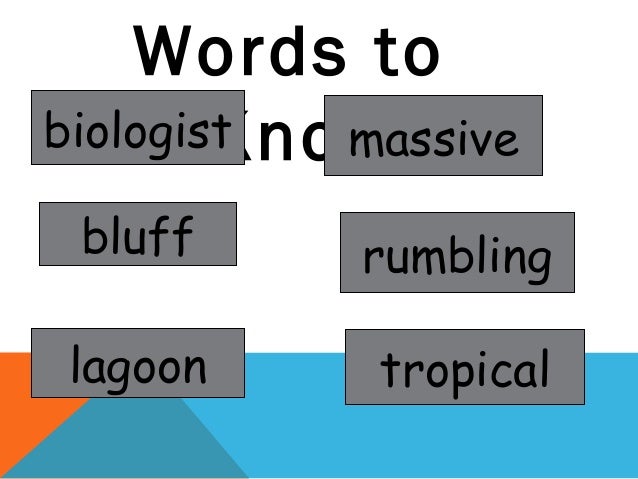 Vocabulary- Adelina's Whales