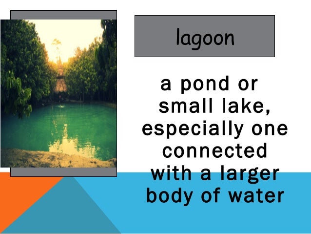 Vocabulary- Adelina's Whales