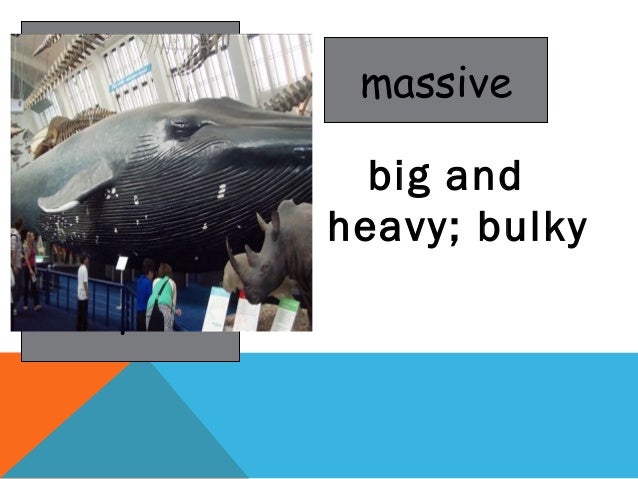 Vocabulary- Adelina's Whales