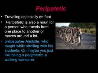 Vocabulary | PPT