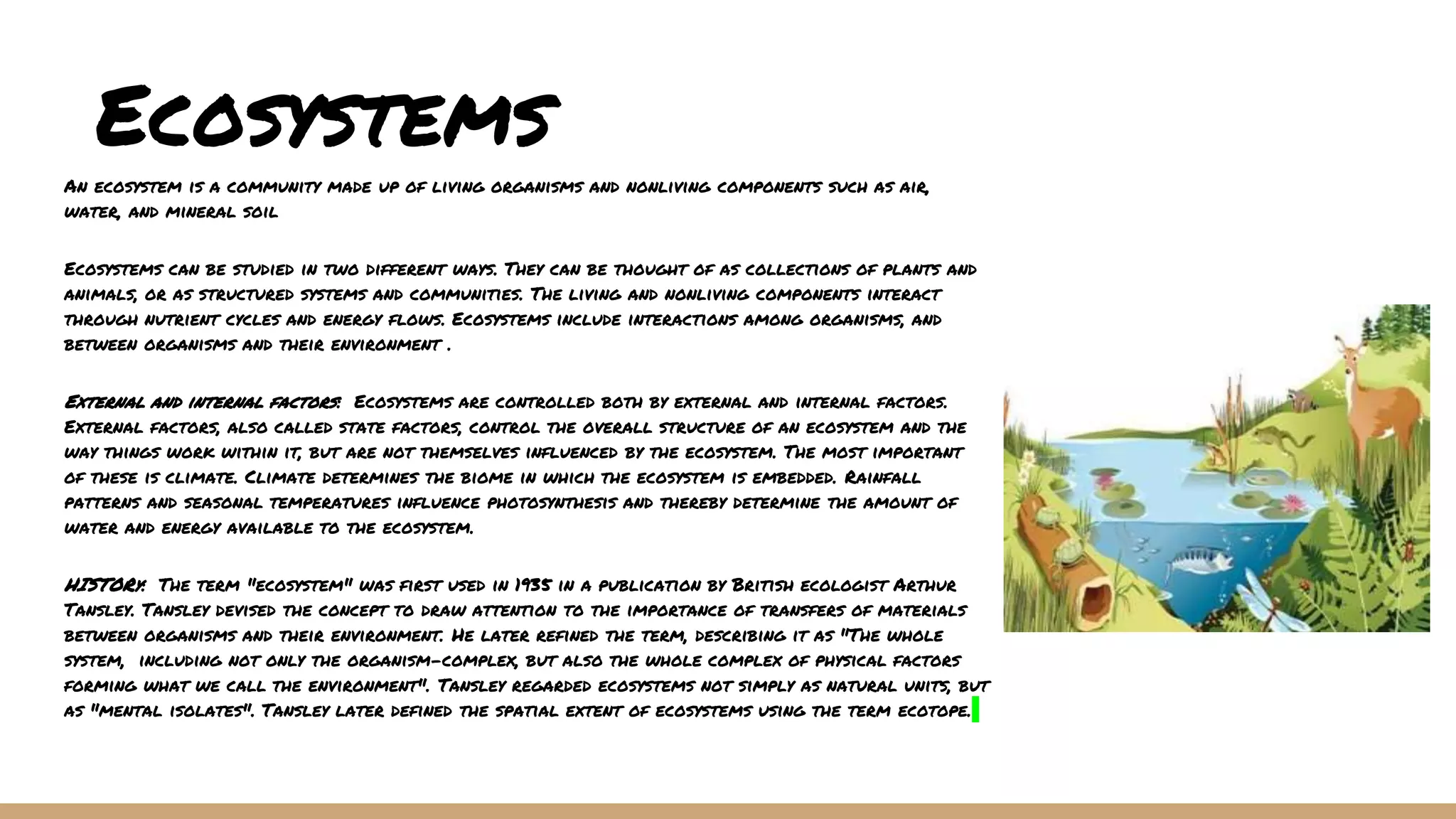 OUR PLANET, OUR FUTURE. VOCABULARY | PPTX