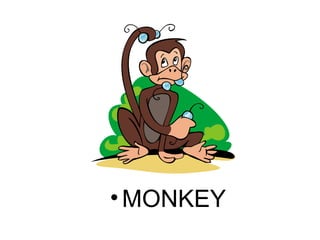 Vocabulary Animals Oral 3r | PPT