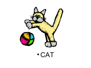 Vocabulary Animals Oral 3r | PPT