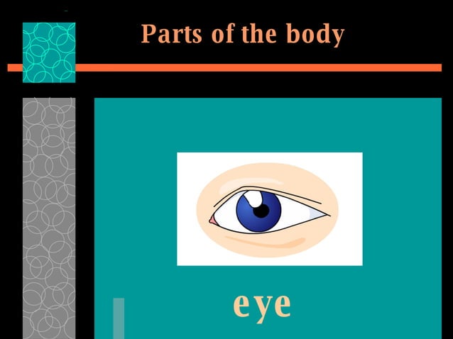 Vocabulary Body | PPT