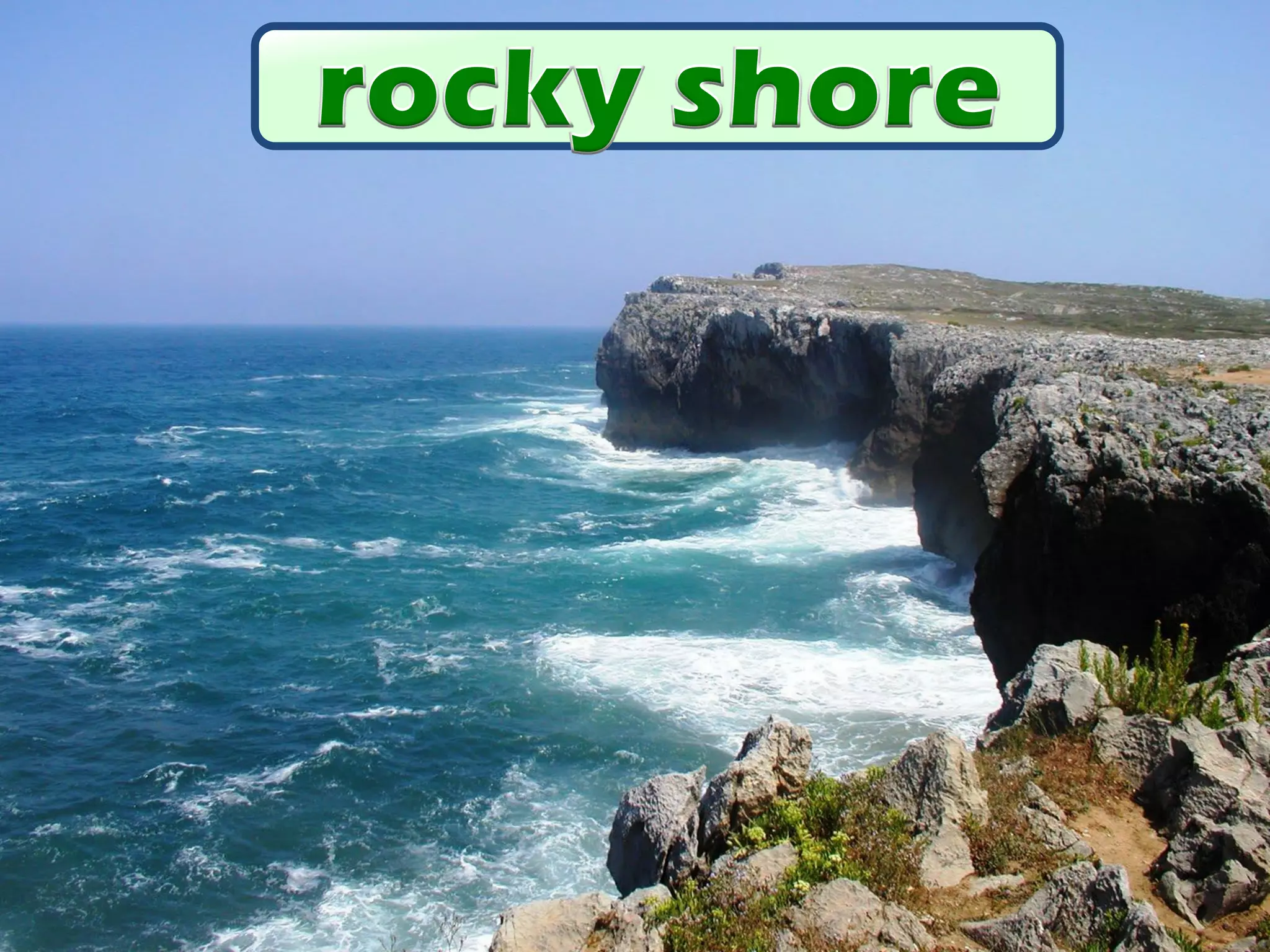 Vocabulary ecosystems | PPT