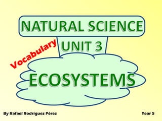 Vocabulary ecosystems | PPT