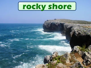 Vocabulary: Ecosystems | PPT