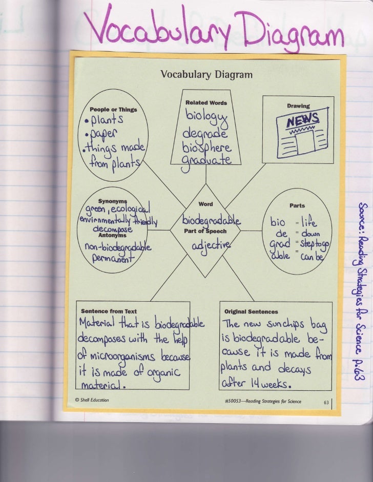 Vocabulary notebook