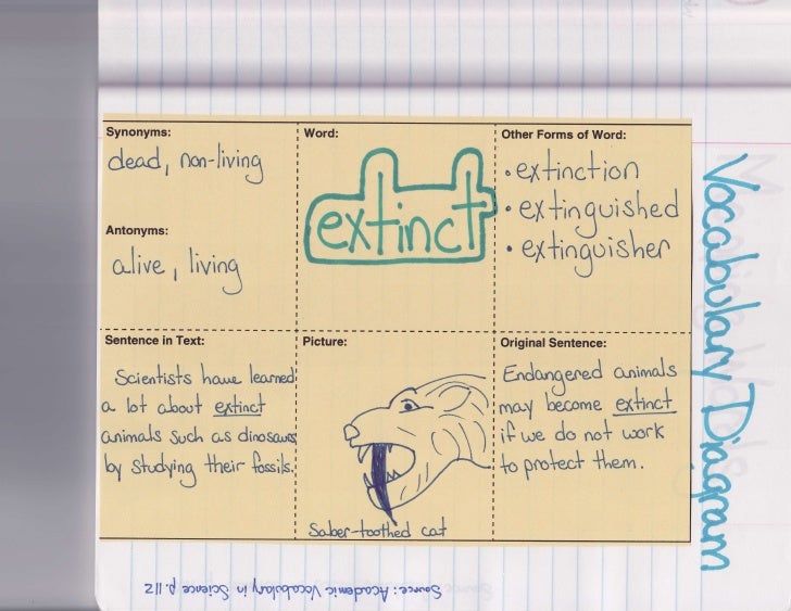 Vocabulary notebook