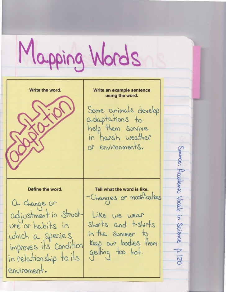 Vocabulary Notebook vocabulary-notebook