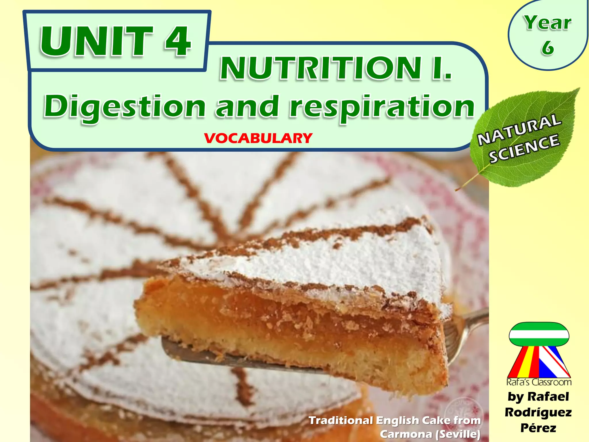 Vocabulary - Nutrition I (digestion & respiration) | PPT