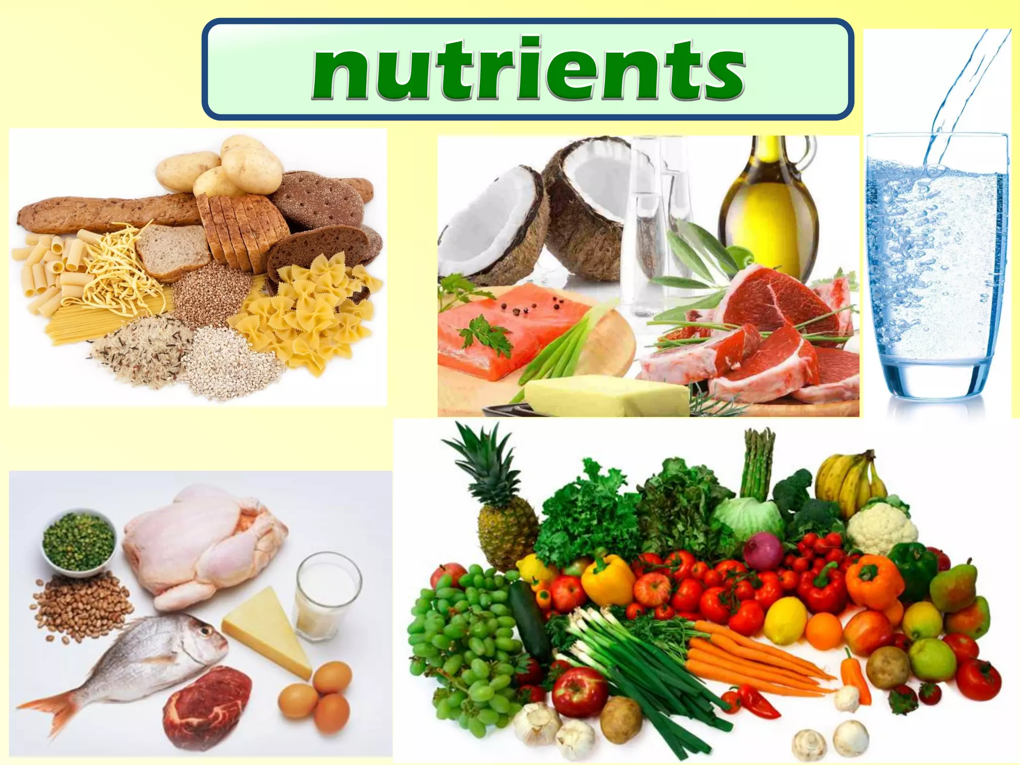 Vocabulary - Nutrition I (digestion & respiration) | PPT