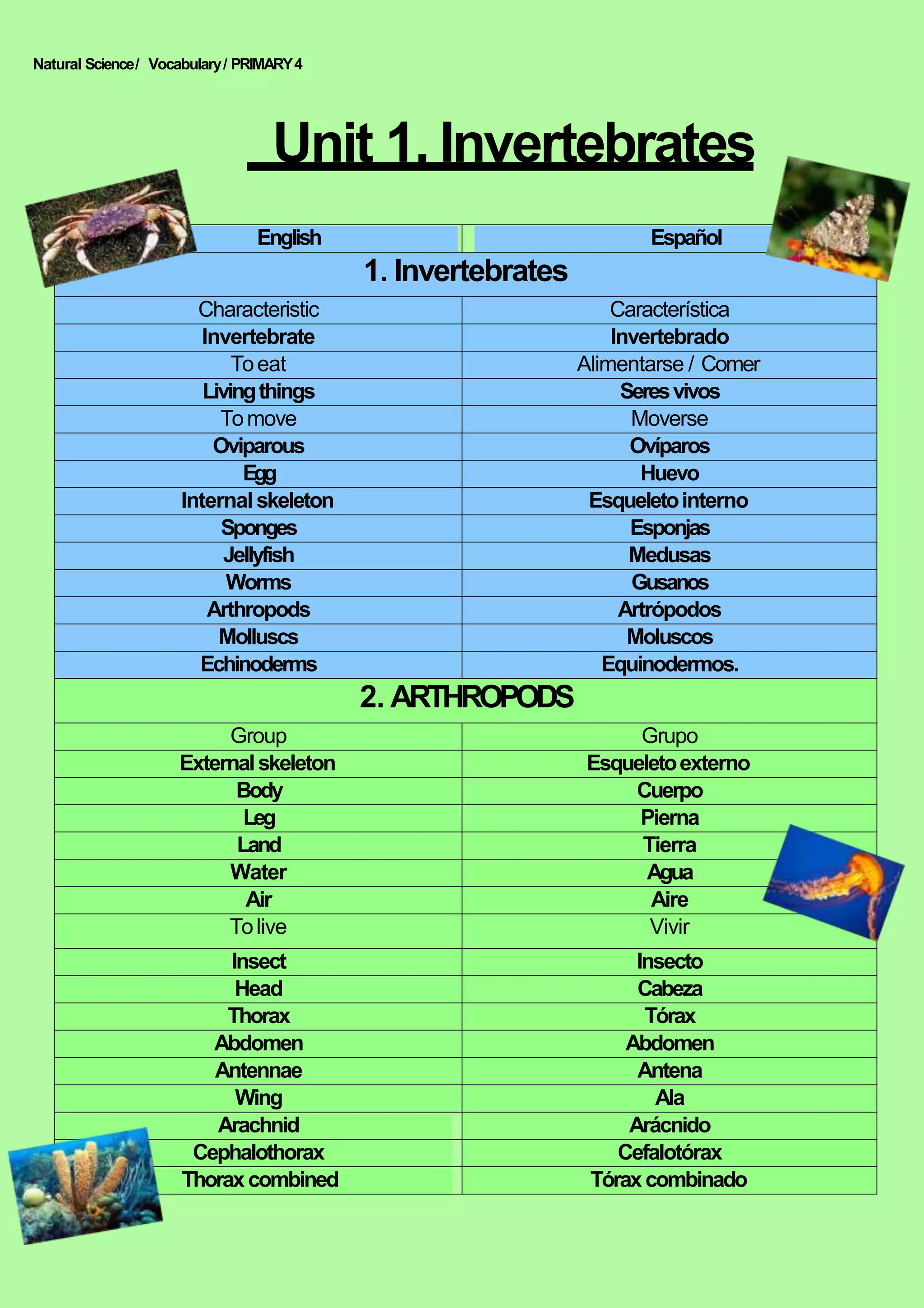 Vocabulary of-invertebrates-converted | PPTX