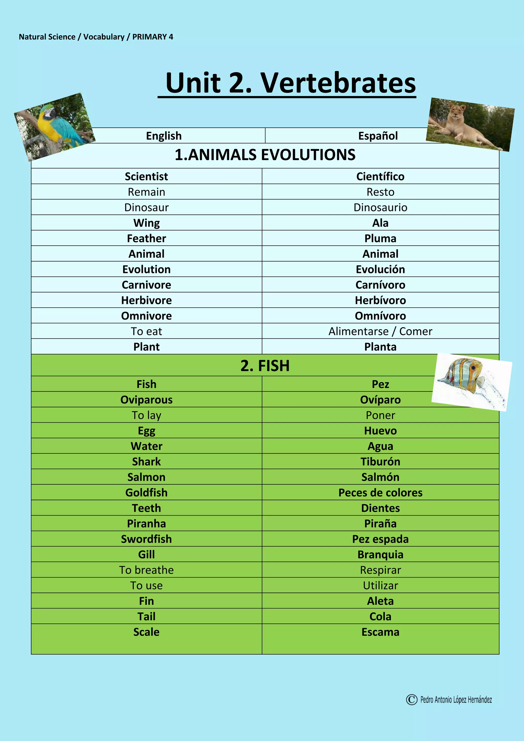 Vocabulary of-vertebrates | PDF