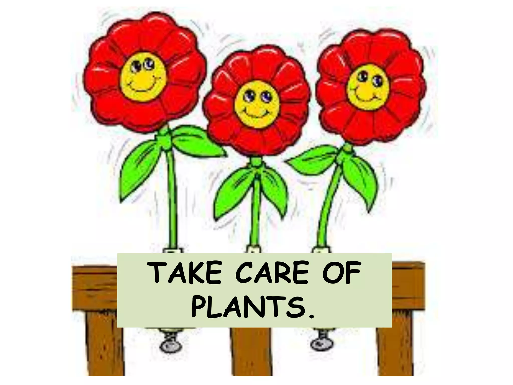 Vocabulary- Plants for Primary 1 | PPT