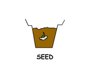 Vocabulary- Plants for Primary 1 | PPTX