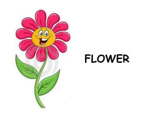 Vocabulary- Plants for Primary 1 | PPT