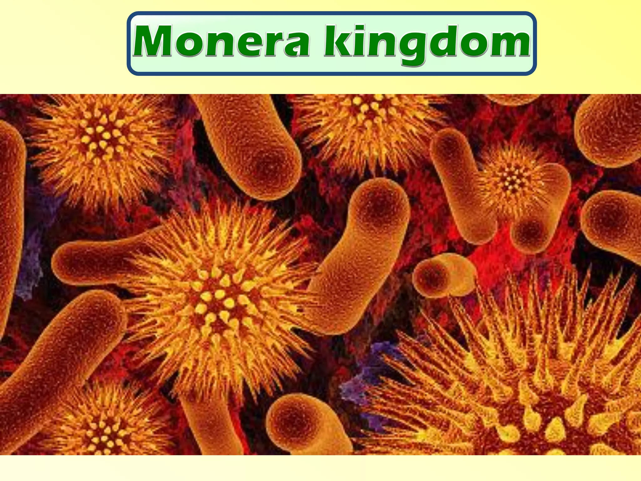 Vocabulary Unit 7: The classification of living things | PPT