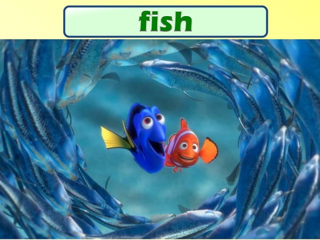 Vocabulary Unit 7: The classification of living things | PPT