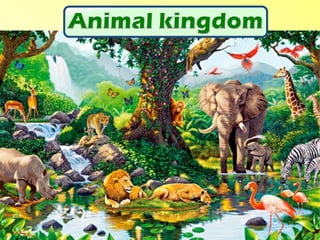 Vocabulary Unit 7: The classification of living things | PDF