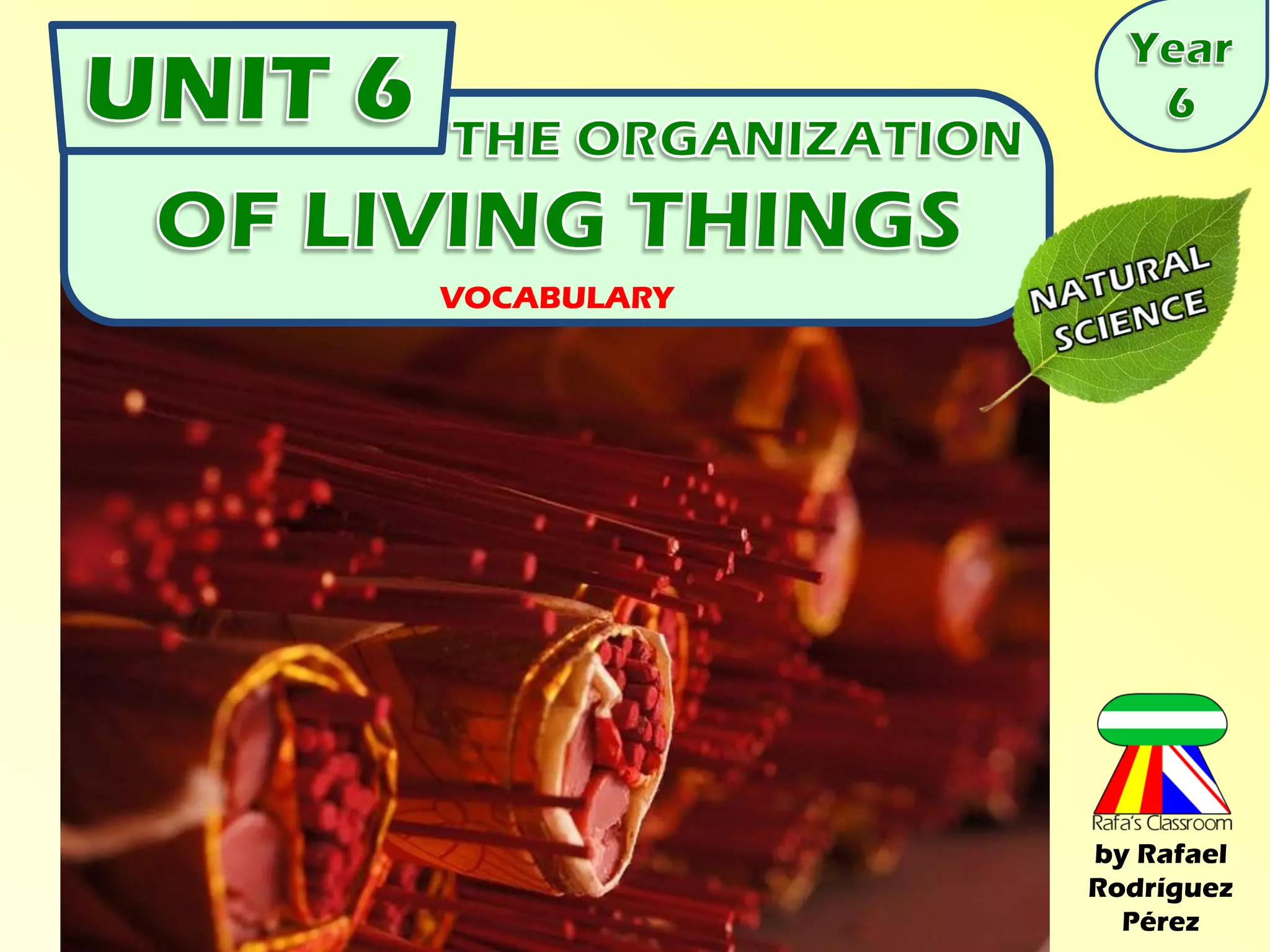 Vocabulary - The Organization of Living Things | PPT