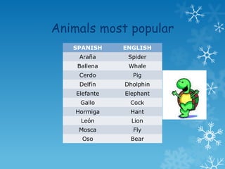Vocabulary about animals | PPTX