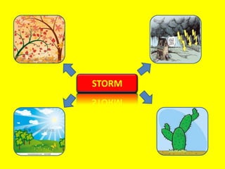 Vocabulary activity | PPT