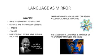 Vocabulary and genders sociolinguistic | PPTX