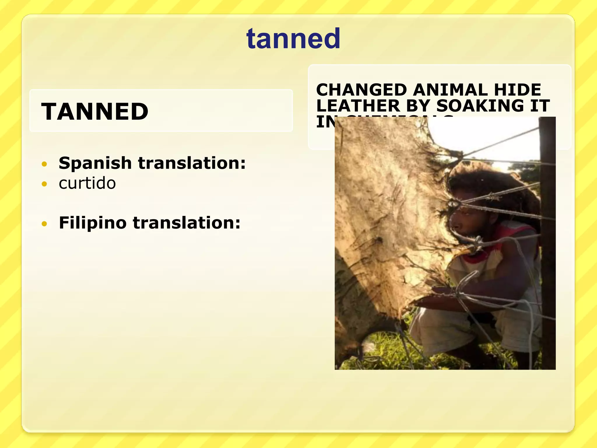 Vocabulary Boss Of The Plains | PPSX