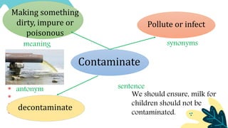 Vocabulary Building | PPTX