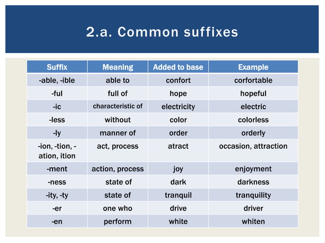Vocabulary building: Sufixes and Prefixes | PDF
