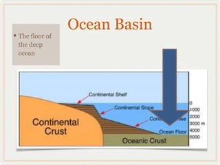 Ocean Vocabulary | PPTX