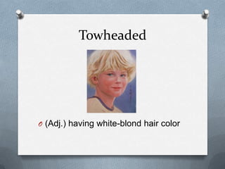 The Outsiders Vocabulary Ch 4 | PPTX