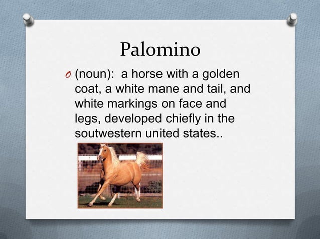 Vocabulary chapter 7 outsiders slideshare | PPTX