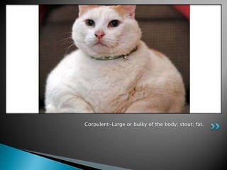 Vocabulary clip art | PPTX | Women\'s Intimates and Sleepwear | Women ...