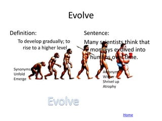 Vocabulary definitions | PPT